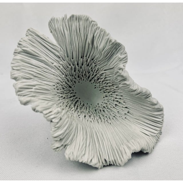 Sea Form Hand Crafted in White Porcelain | Chairish