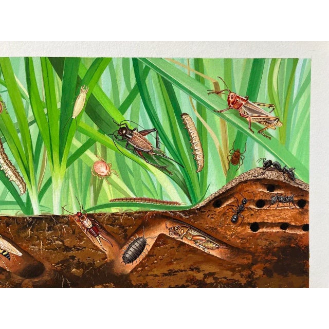 Original Ecotoxicology Illustration "Creepy Crawly Pop-Art" Circa 1981 ...