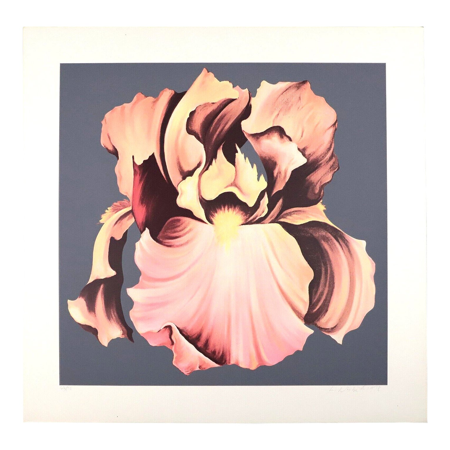 1970s Lowell Nesbitt Iris (Floral) Screenprint | Chairish
