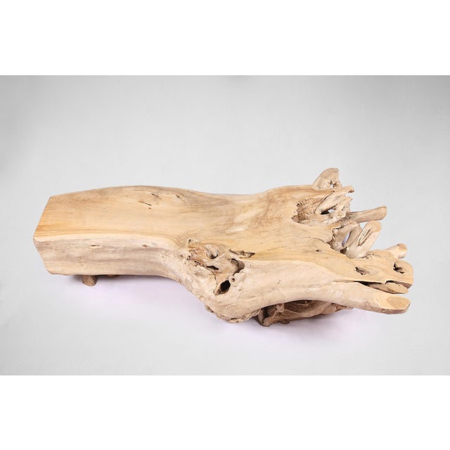 Natural Brown Teak Root Coffee Table 103 | Chairish