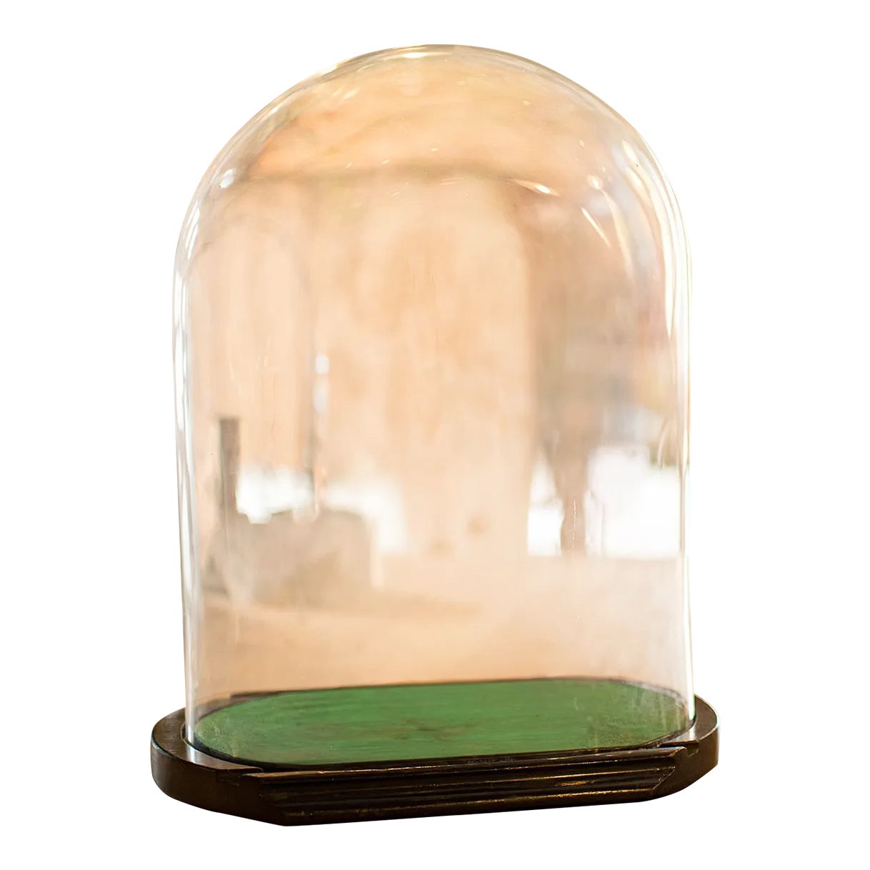 1890's Antique Ovoid Display Dome | Chairish