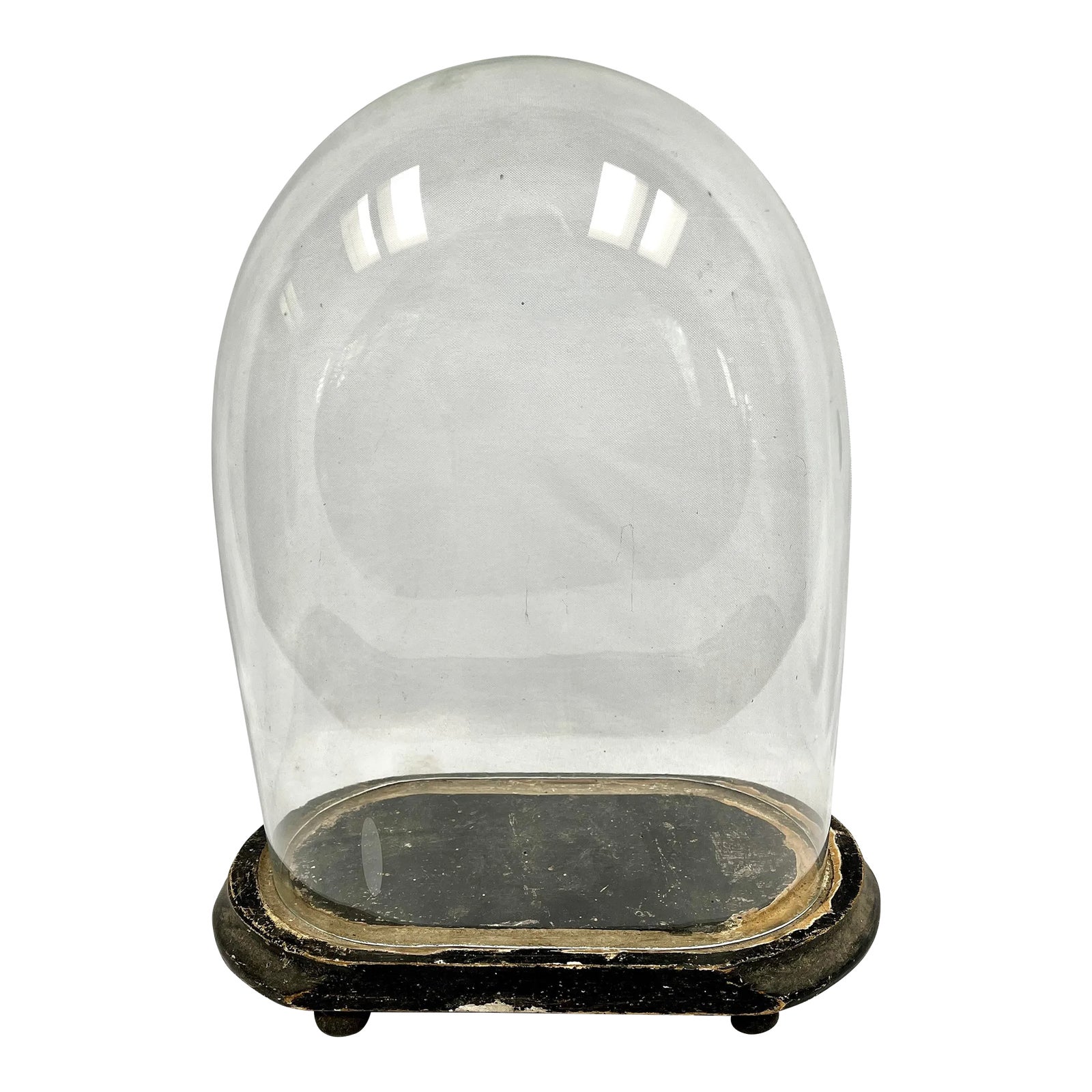 Late 1800s French Cloche on Oval Wood Footed Stand | Chairish