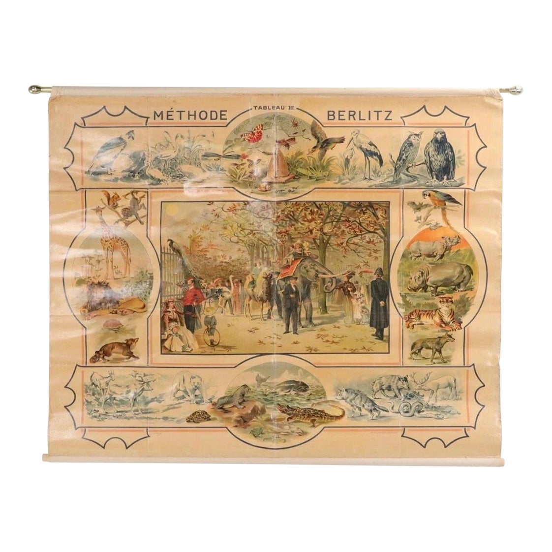 Antique Méthode Berlitz Language Learning Wall Chart - Zoo Animals ...