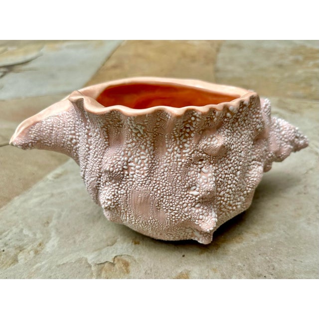 Vintage Conch Shell Bowl Dish Planter | Chairish