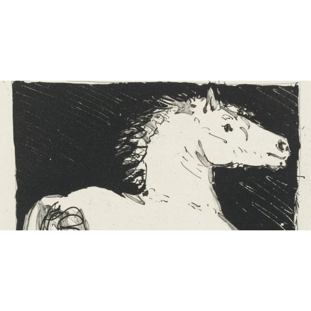 Pablo Picasso, Le Cheval, Histoire Naturelle, 1970 | Chairish