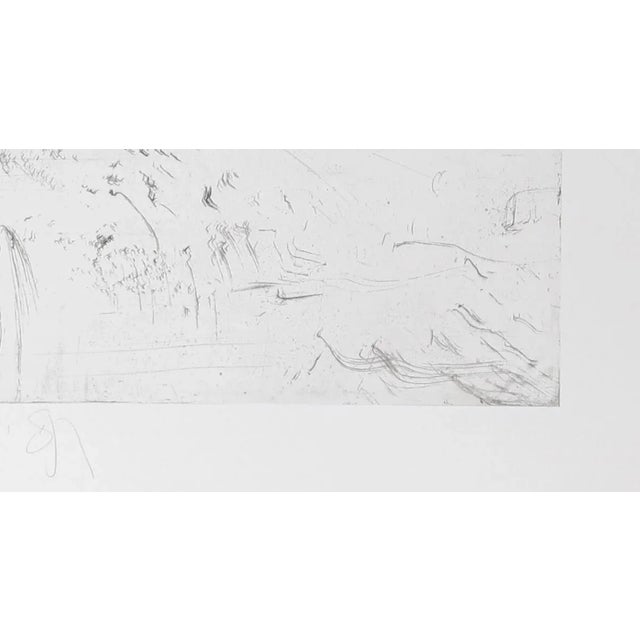 Donald Saff - Fly Iron Chair Etching | Chairish