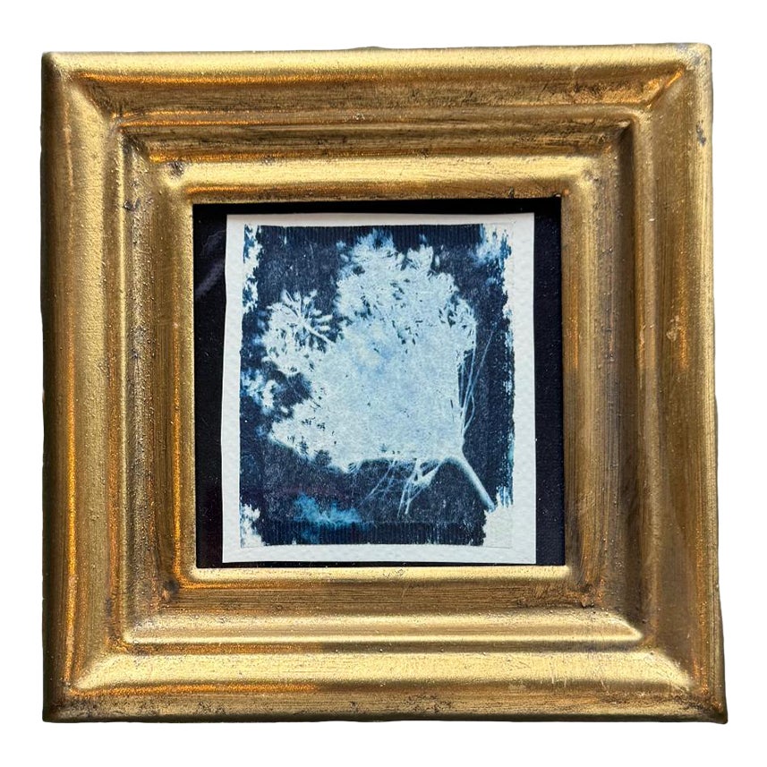 Contemporary Miniature Original Cyanotype, Framed | Chairish