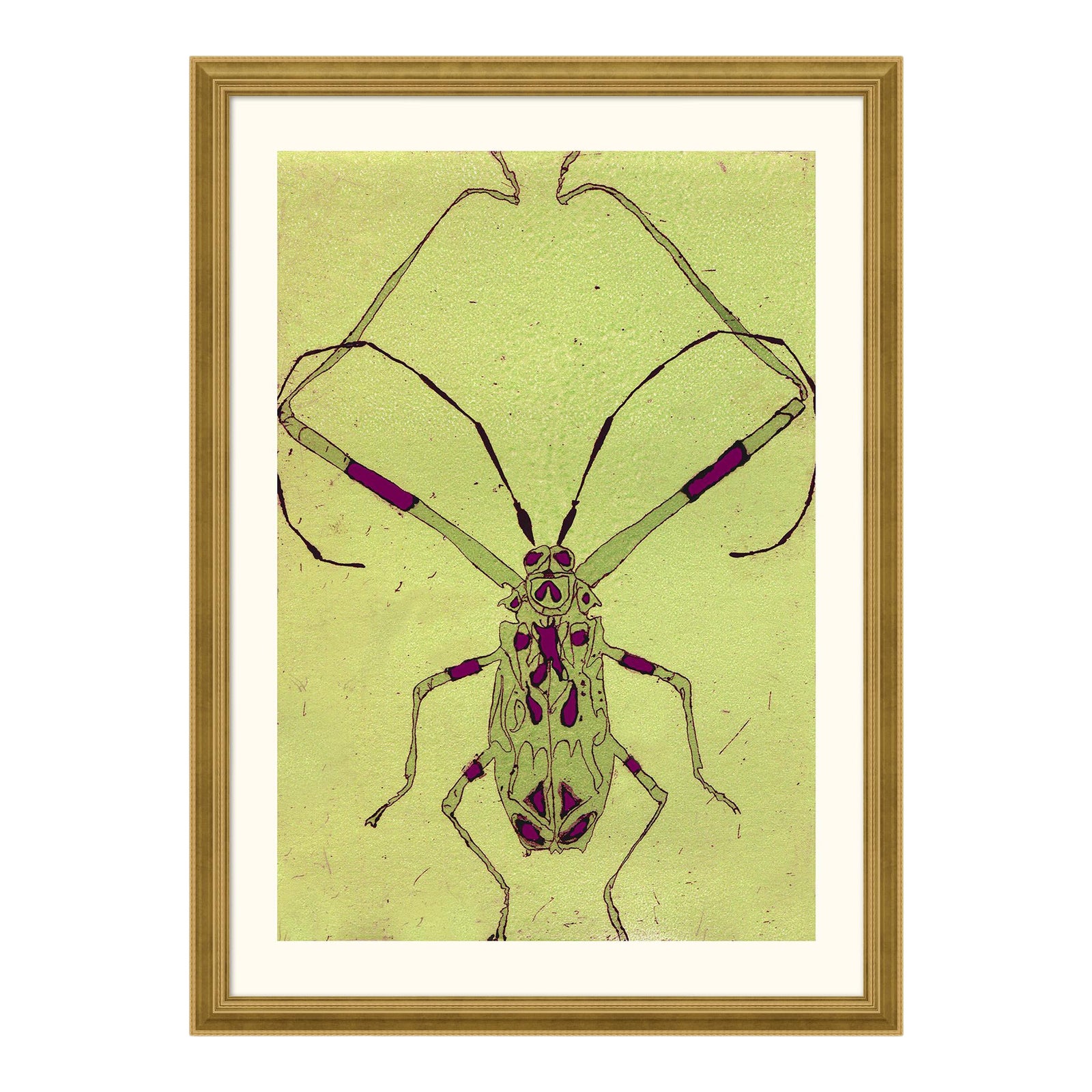 Long Legged Bug - Light Series no. 3 by Jessica Molnar in Gold Frame ...