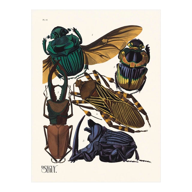 Insects Giclee Reproduction Art Print by Emile-Allain Seguy | Chairish