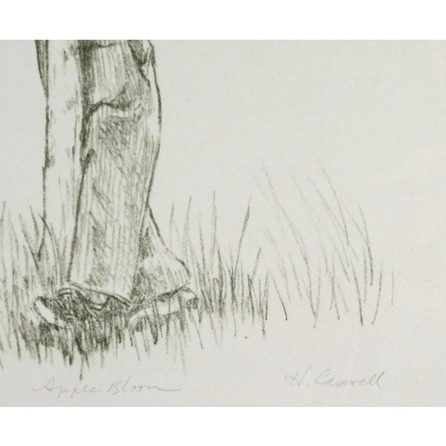 Helen Rayburn Caswell Apple Bloom, 1982 | Chairish