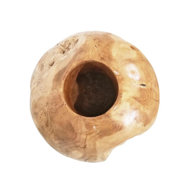 Contemporary Teak Root Ball Vase | Chairish