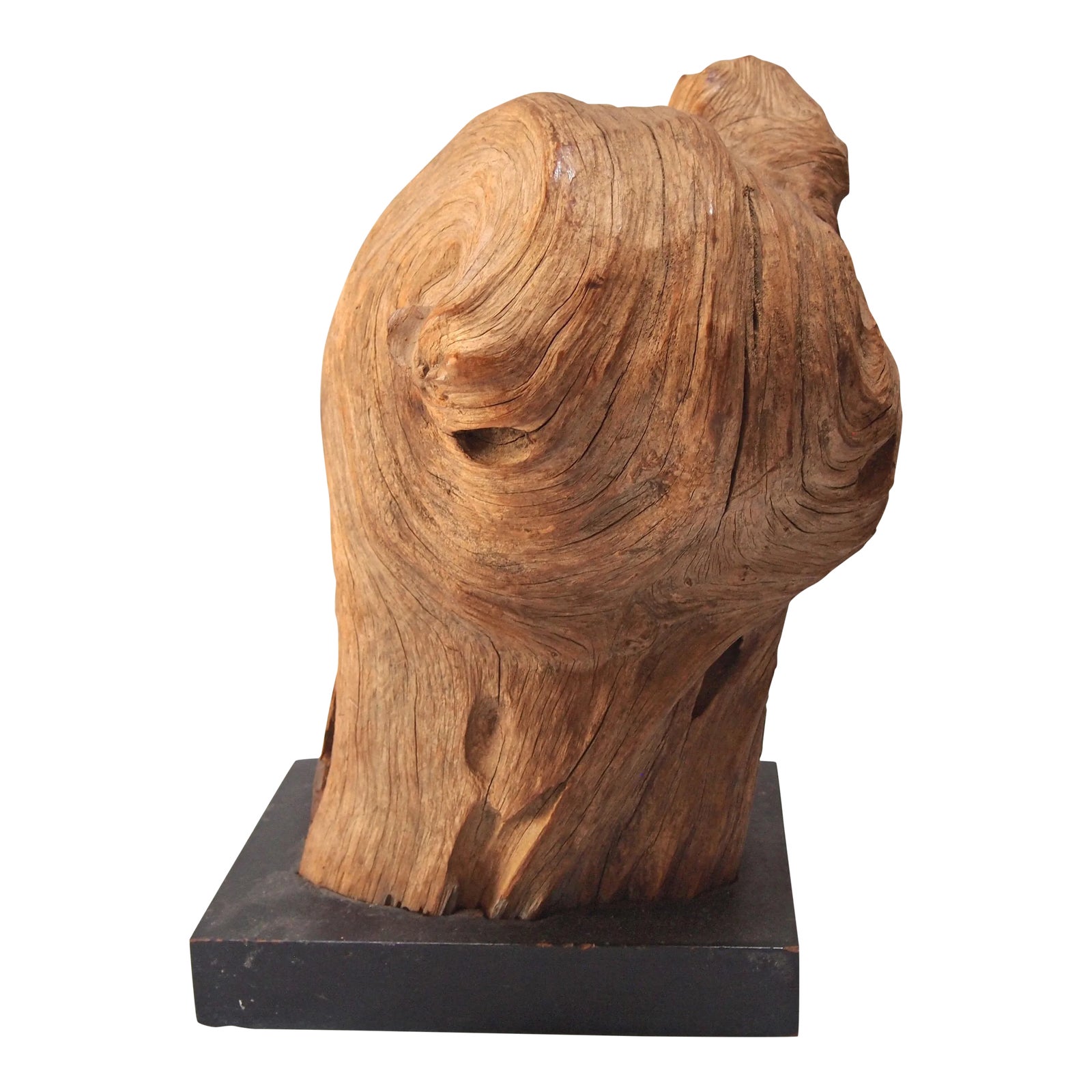 Mid-Century Wood Specimen | Chairish