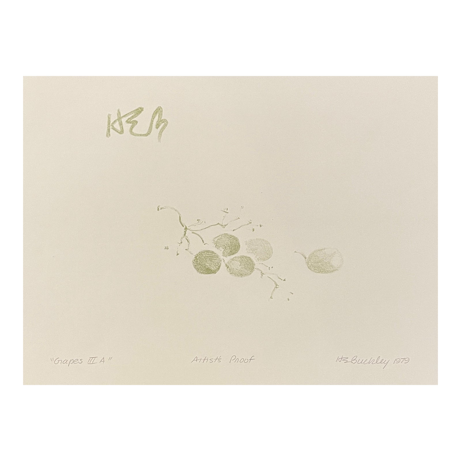 1979 Harry Buckley Green Grapes Lithograph | Chairish