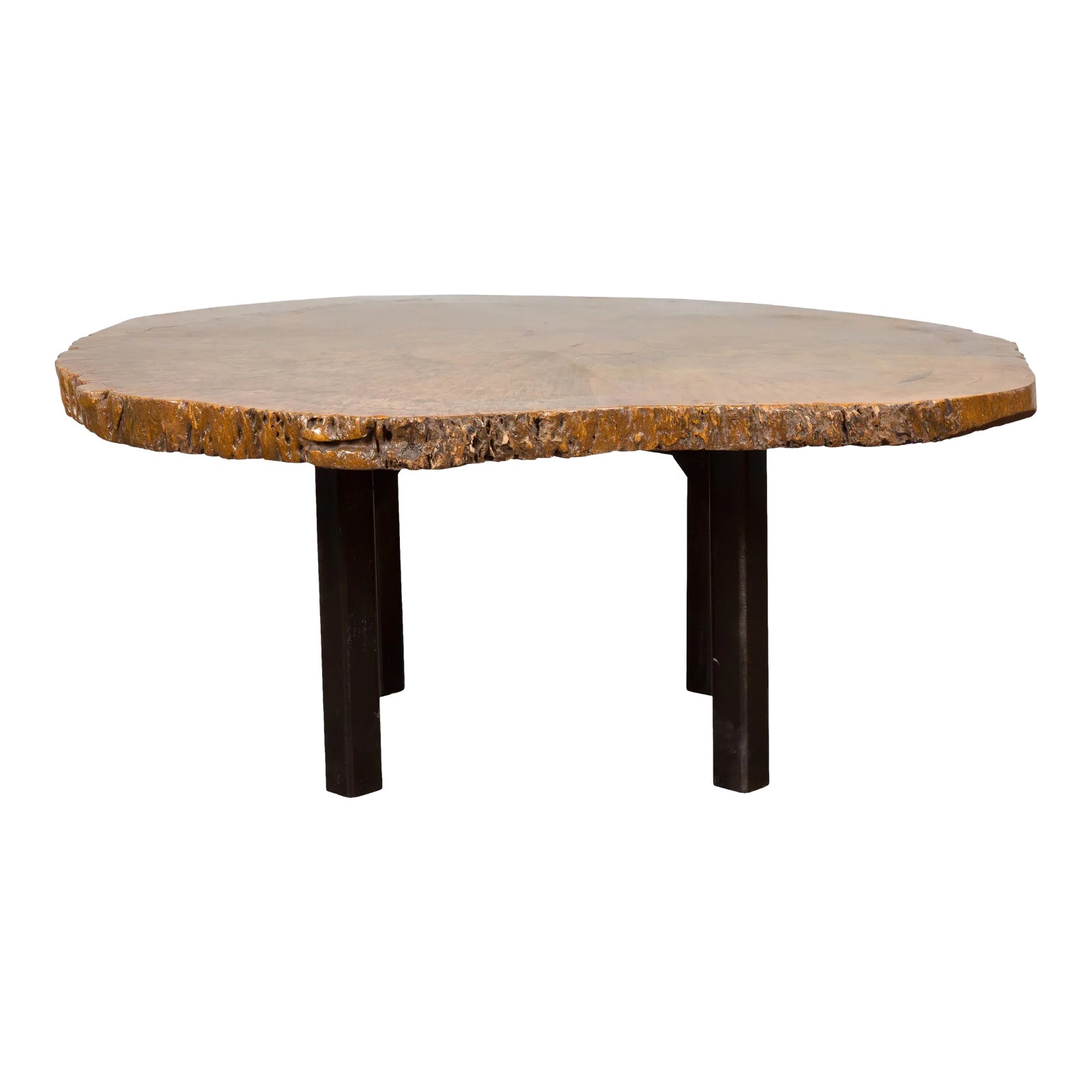 Mid 20th Century Brown & Black Organic Old Root Tree Slice Table with ...