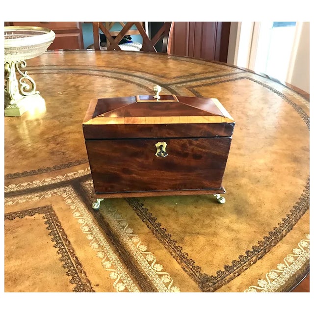 Early 19th Century English Regency Tea Caddy | Chairish