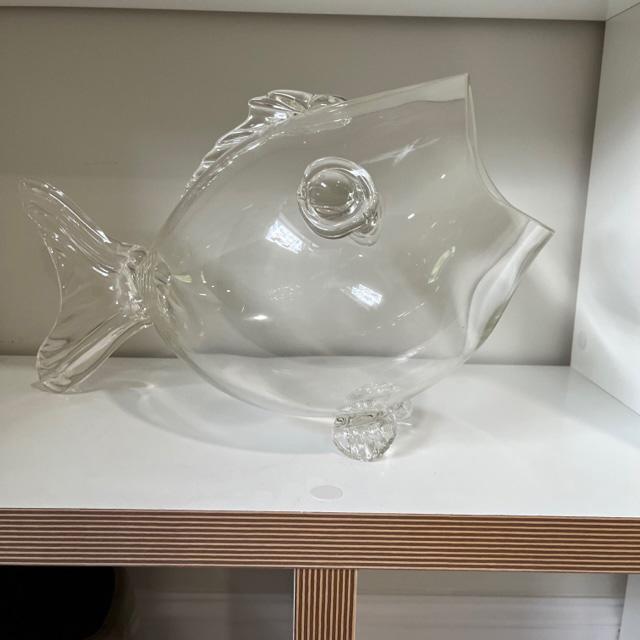 Large Glass Fish Terrarium | Chairish