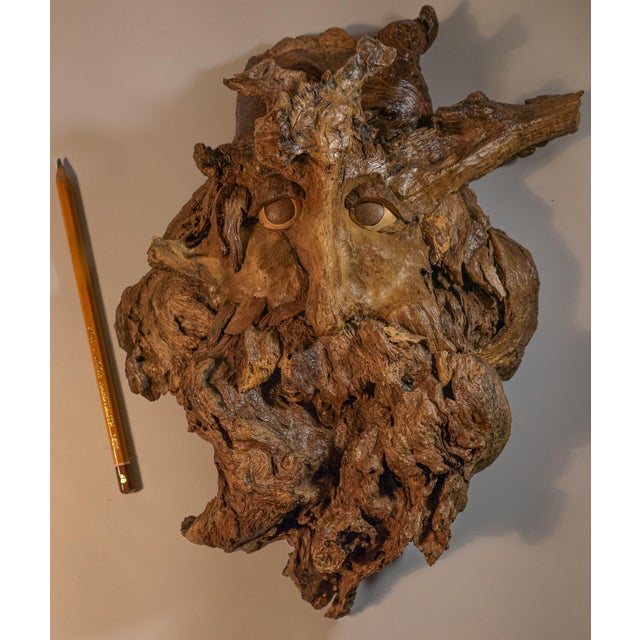 TreeBeard - Unique Driftwood Artwork Sculpture | Chairish