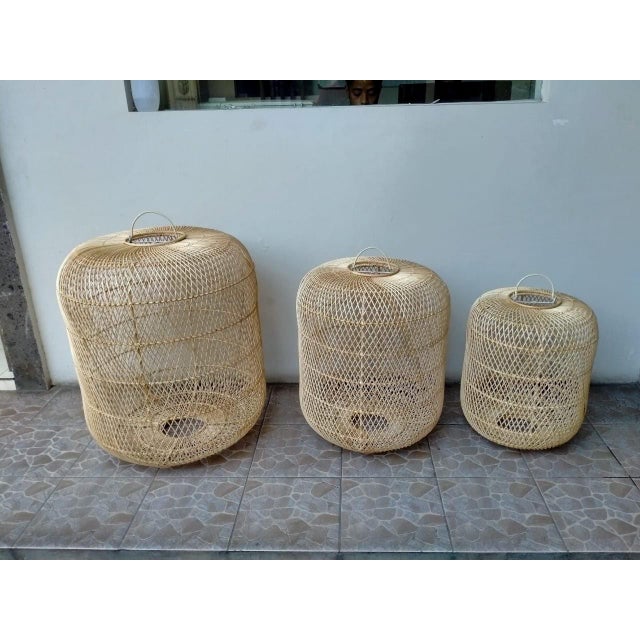 Raw Wicker Jug Lantern Medium | Chairish