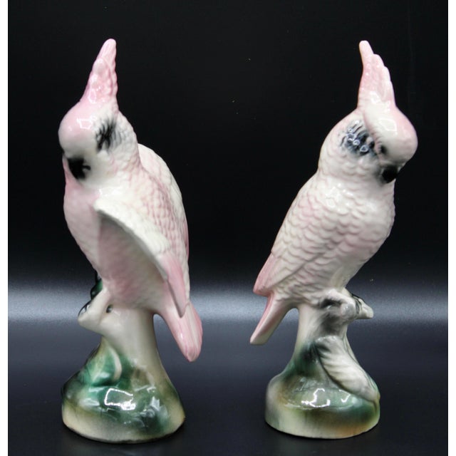 Vintage Pink Ceramic Cockatoo Parrot Bird Figurines - a Pair | Chairish Vintage Pink Ceramic Cockatoo Parrot Bird Figurines - a Pair | Chairish