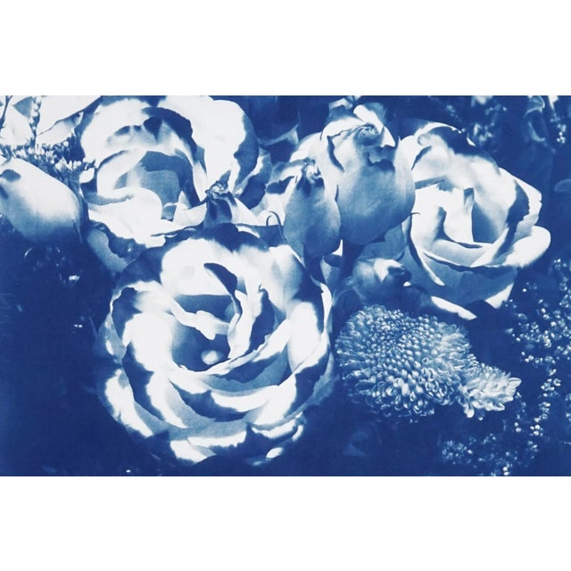 2020 Blue Bouquet Contemporary Cyanotype on Watercolor Paper | Chairish