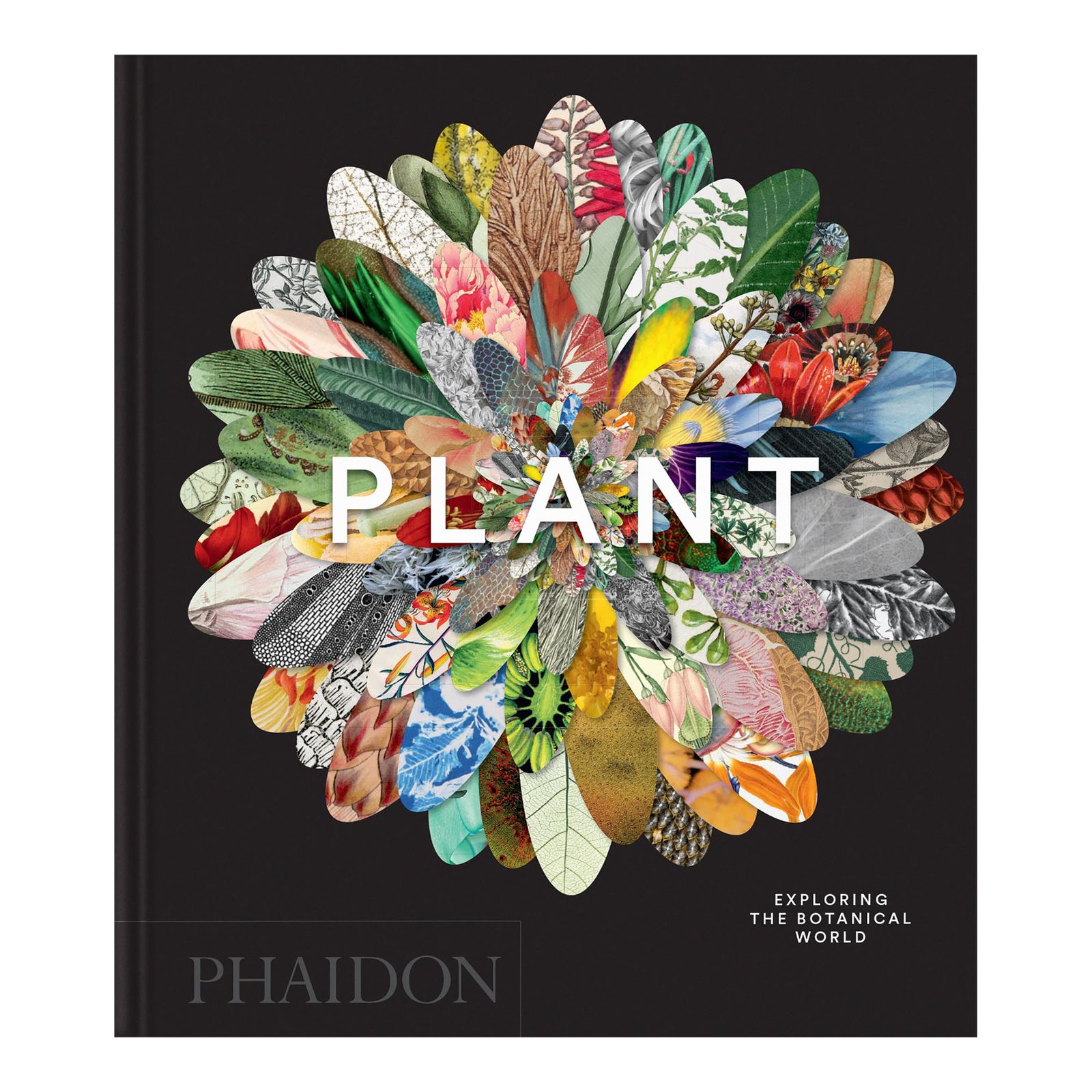 Plant: Exploring the Botanical World, Compact Format | Chairish