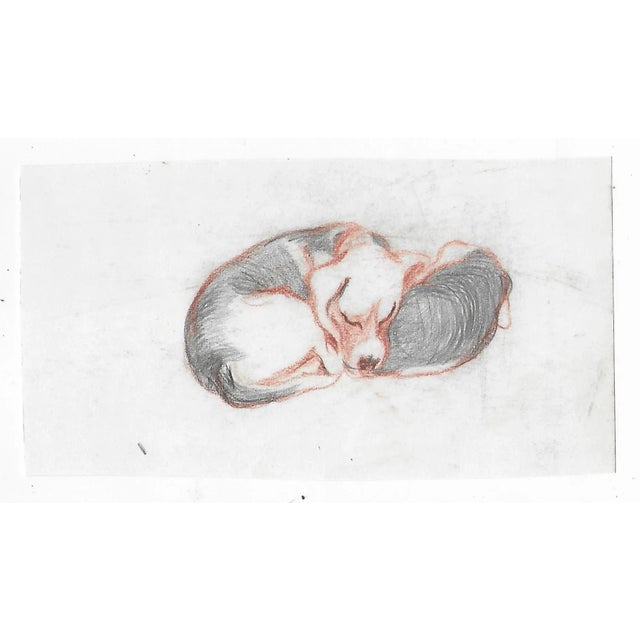 1970s Sleeping Dog Drawing | Chairish