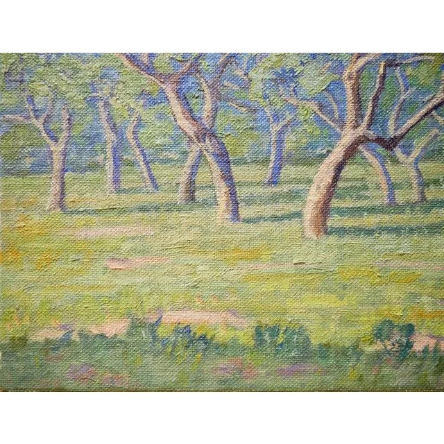 Mid-20th Century “Afternoon Shadows” Goose Island State Park, Tx Green ...