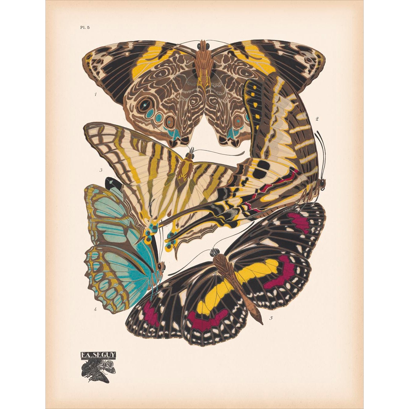Papillons (Butterflies) Plate 5 Giclee Reproducion Art Print by Emile ...