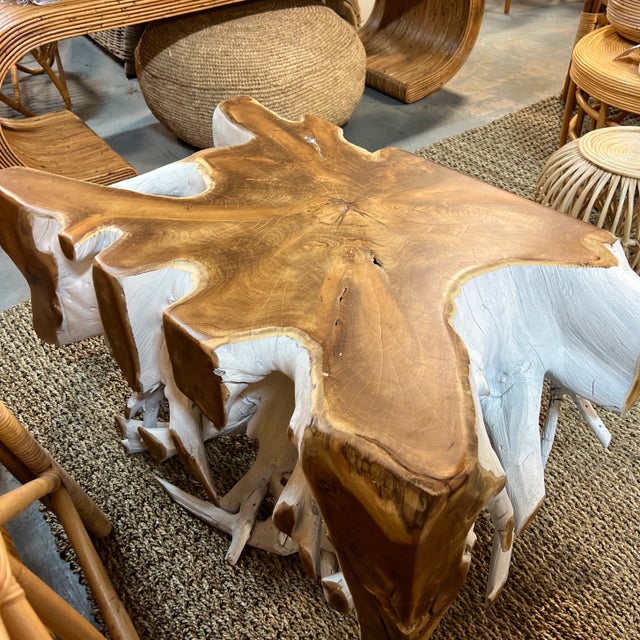 Organic Modern White Teak Root Coffee Table | Chairish