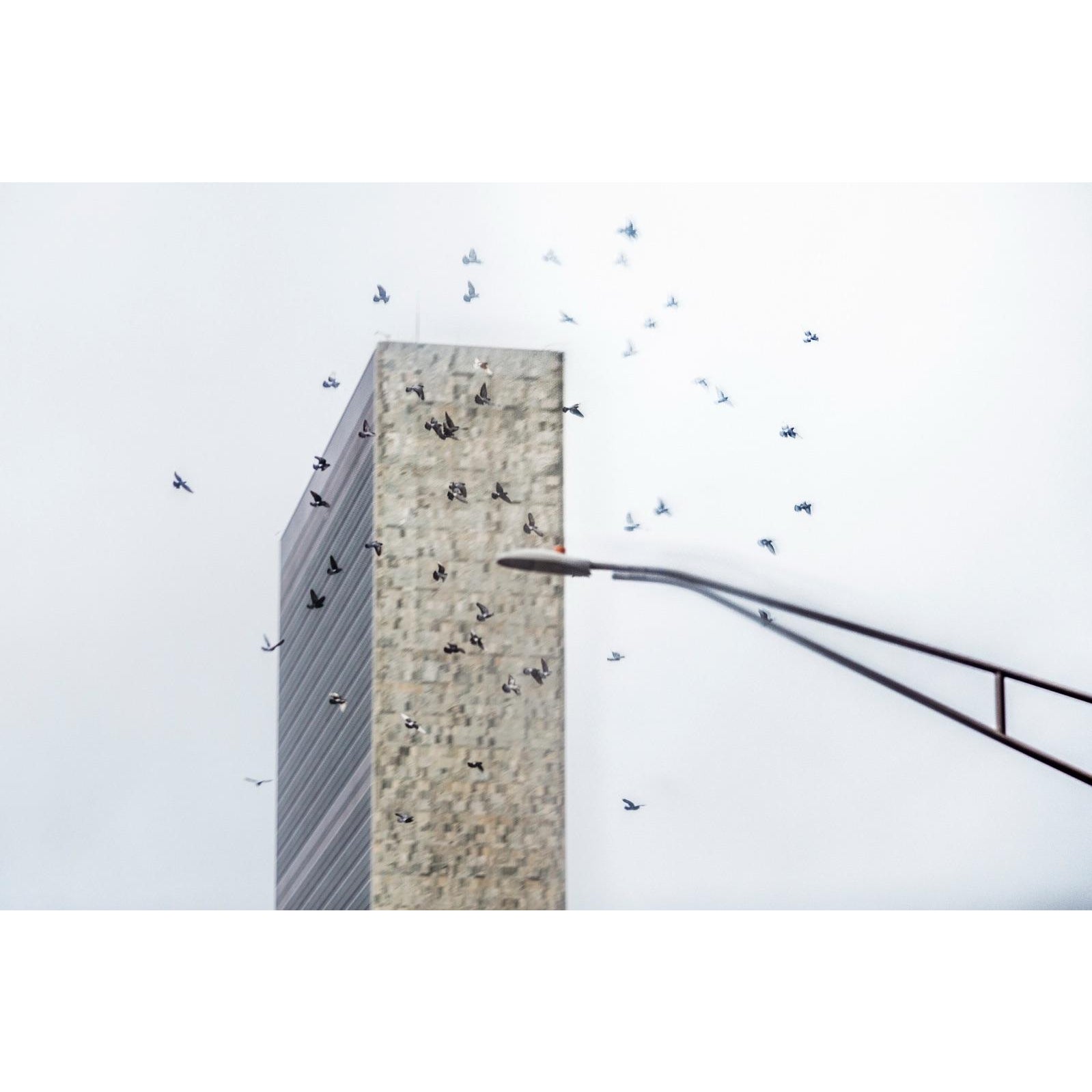 “Secretariat Building, Pigeons” Limited Edition Contemporary Cityscape ...