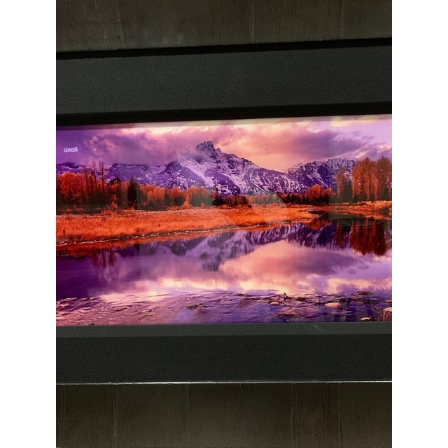 Contemporary Framed Photograph, Signed Peter Lik | Chairish