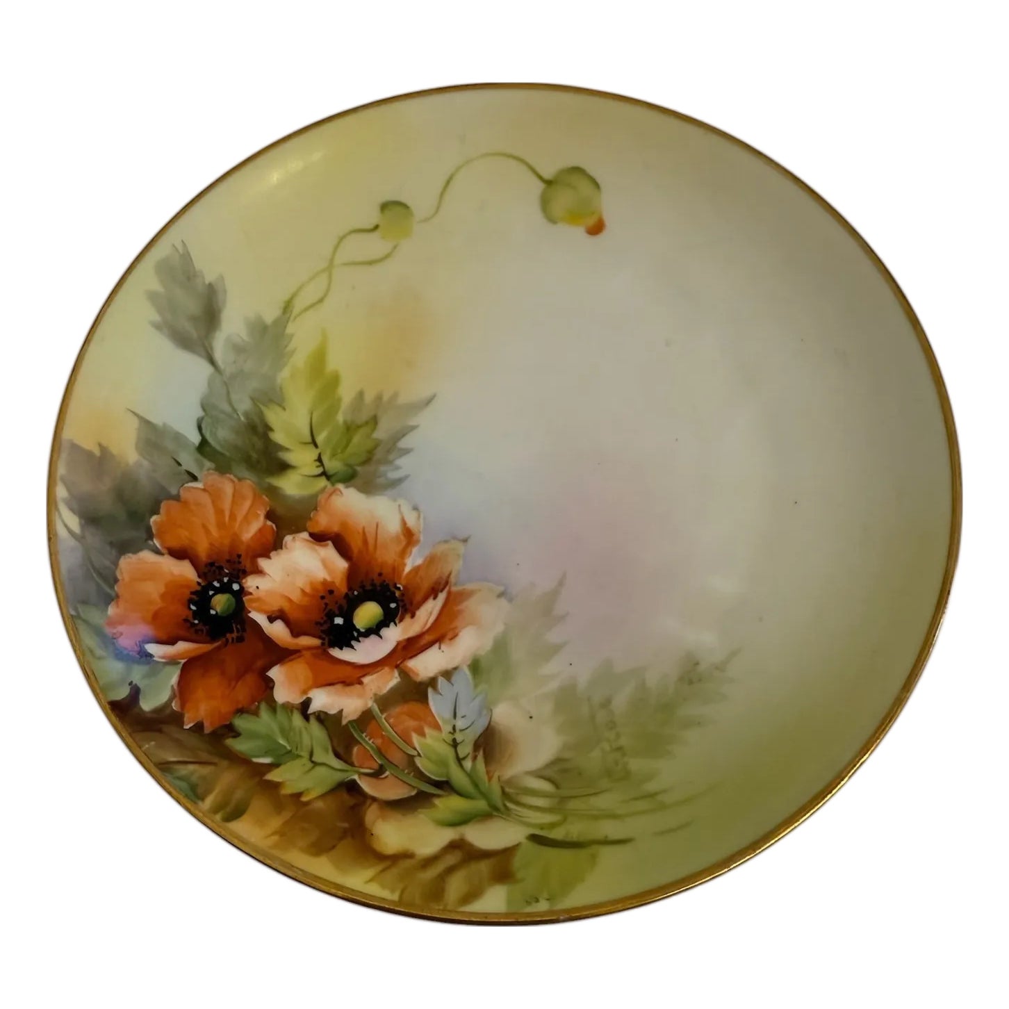 Late 19th Century Hand Painted Nippon Floral Plate | Chairish