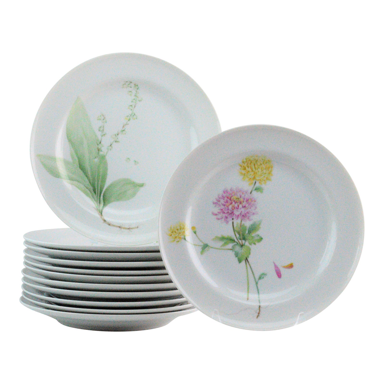 Mikasa Flower of the Month Dinner Plates - Set of 12 | Chairish