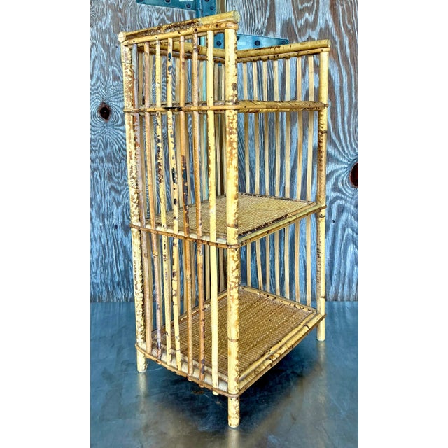 Vintage Coastal Bamboo Shelf | Chairish