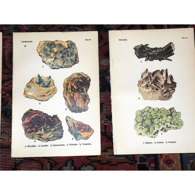 Antique 1911 Mineral Lithograph Collection - Set of 12 | Chairish
