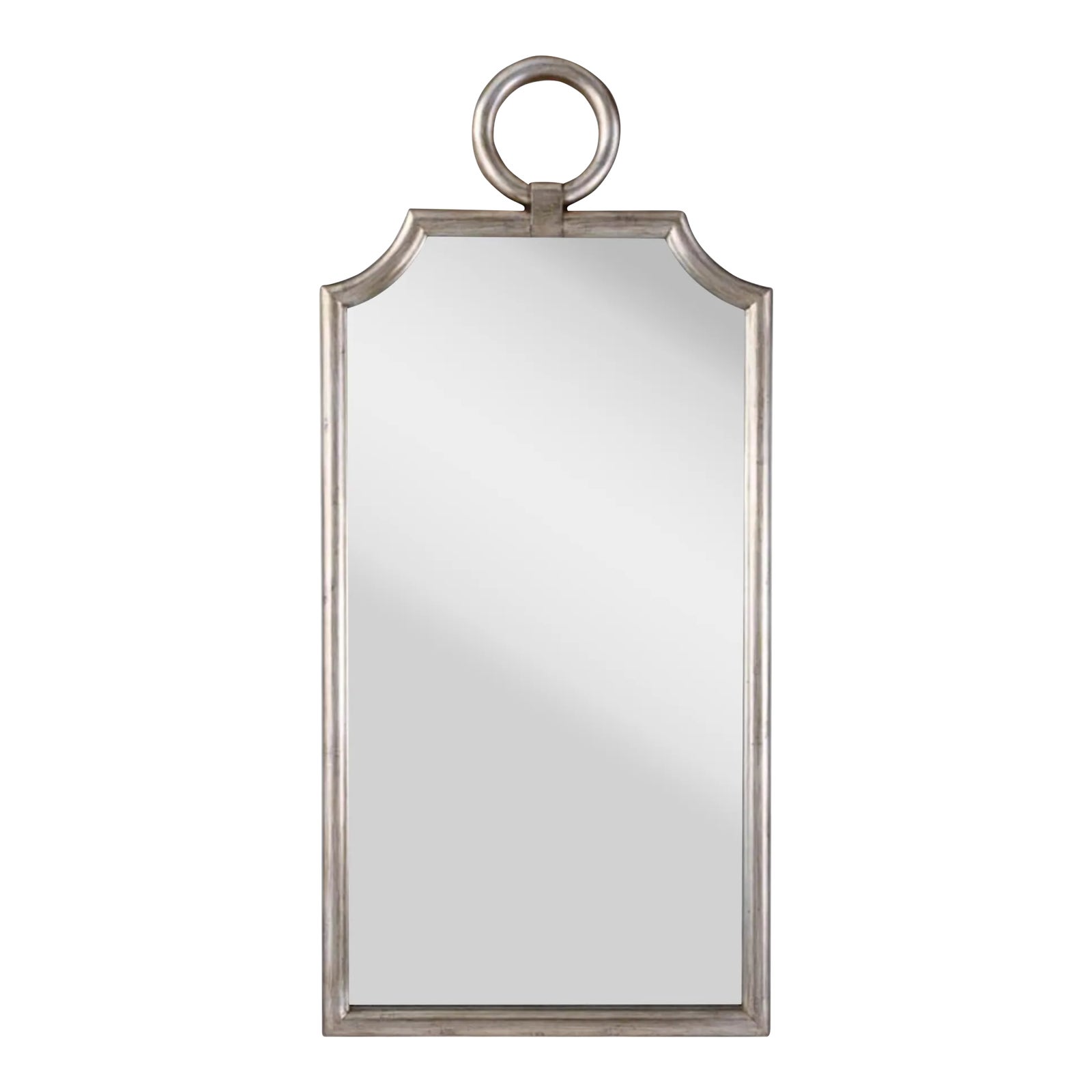 Modern Regency Brushed Nickel Beveled Wall Mirror With Round Ring ...