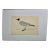Antique Hand Colored Bird Print Showcasing a Majestic Masked Gull ...