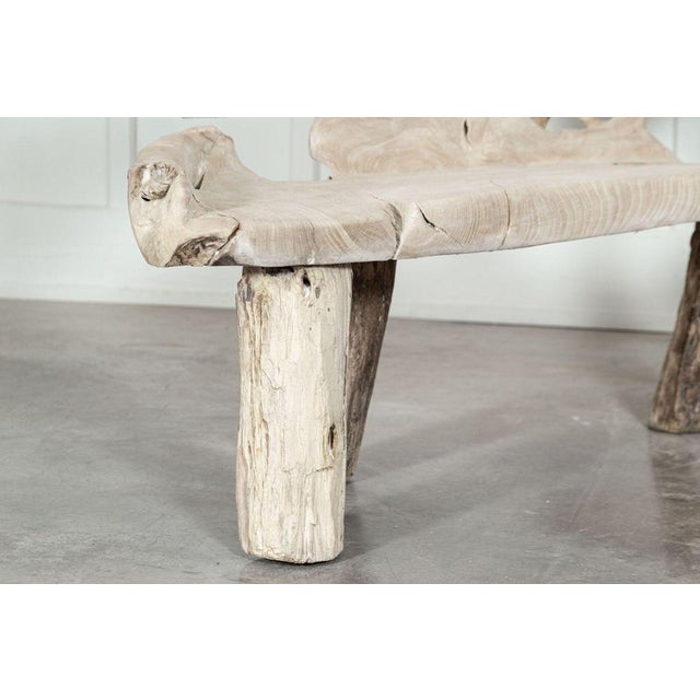 Large English Bleached Teak Root Bench | Chairish