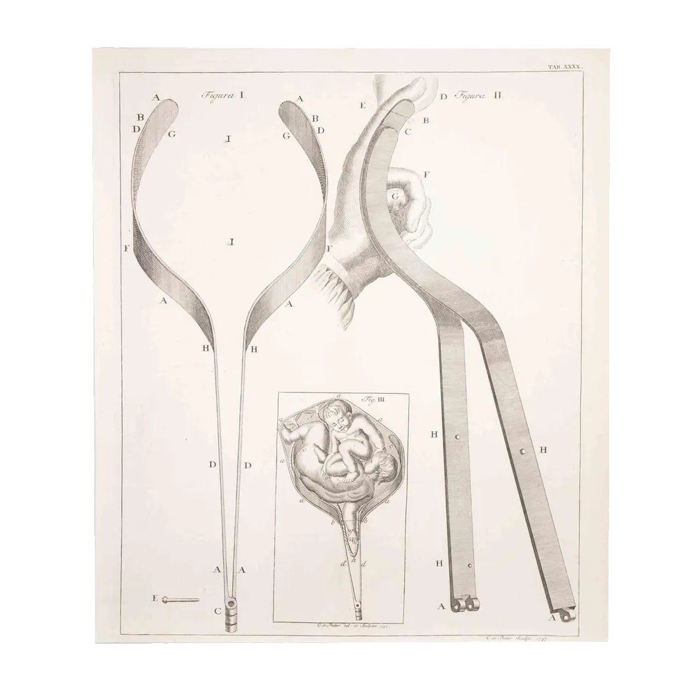 Lorenz Heister, Surgical Instruments, Etching, 1750 | Chairish