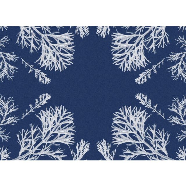 "Vintage Botanical Pressed Flowers Nº3", Botanical Cyanotype, Limited ...
