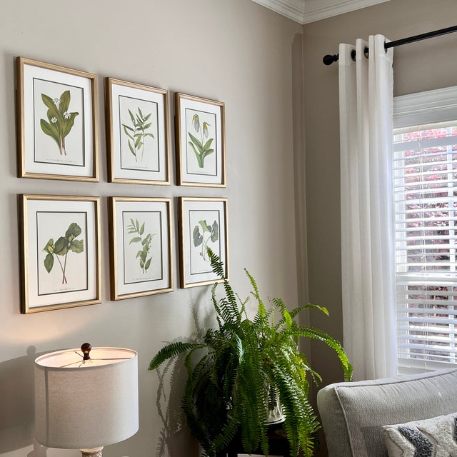 Framed Botanical Prints -Set of 6-1978 Wild Flower Prints | Chairish