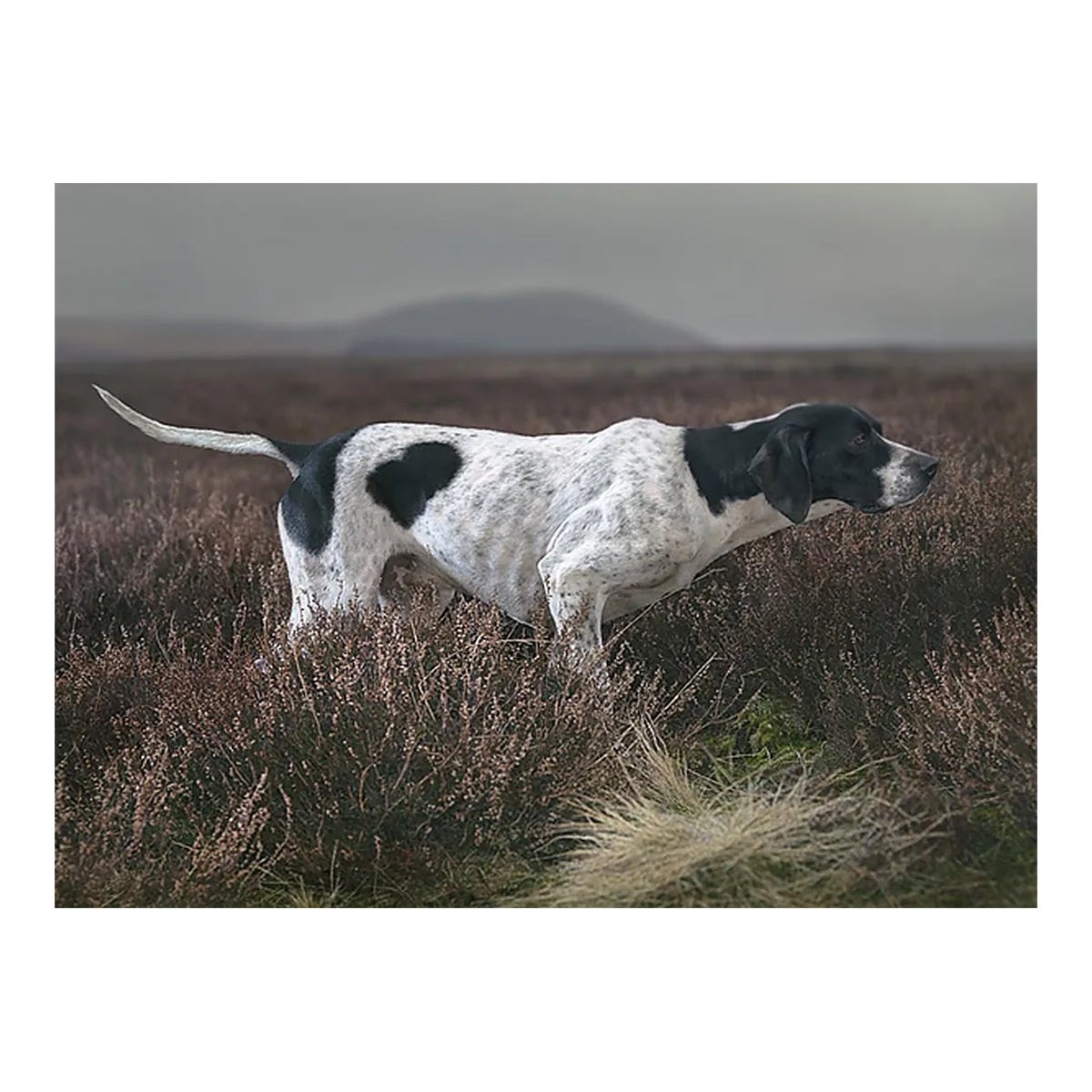 Stoic Point, Landscape, Photography, Scotland | Chairish