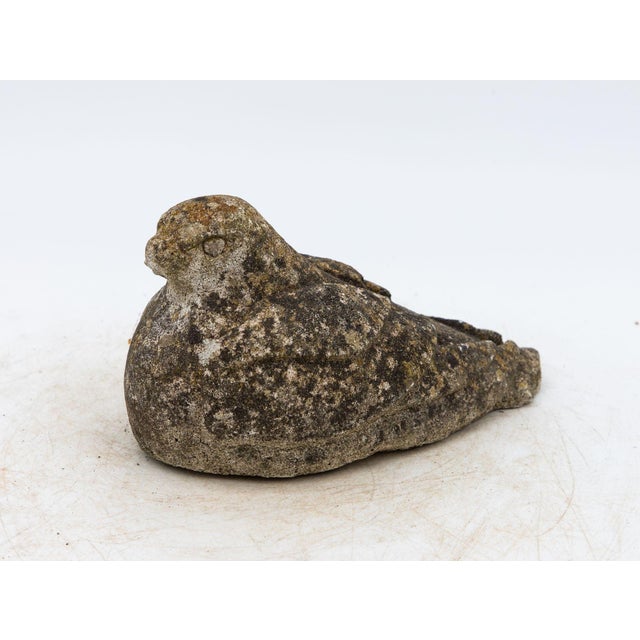 Stone Dove Garden Ornament, England 20th Century | Chairish