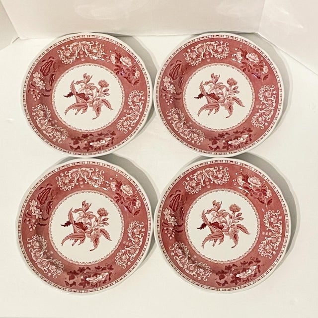 Vintage Spode Pink Camellia Salad Plates- Set of 4 | Chairish