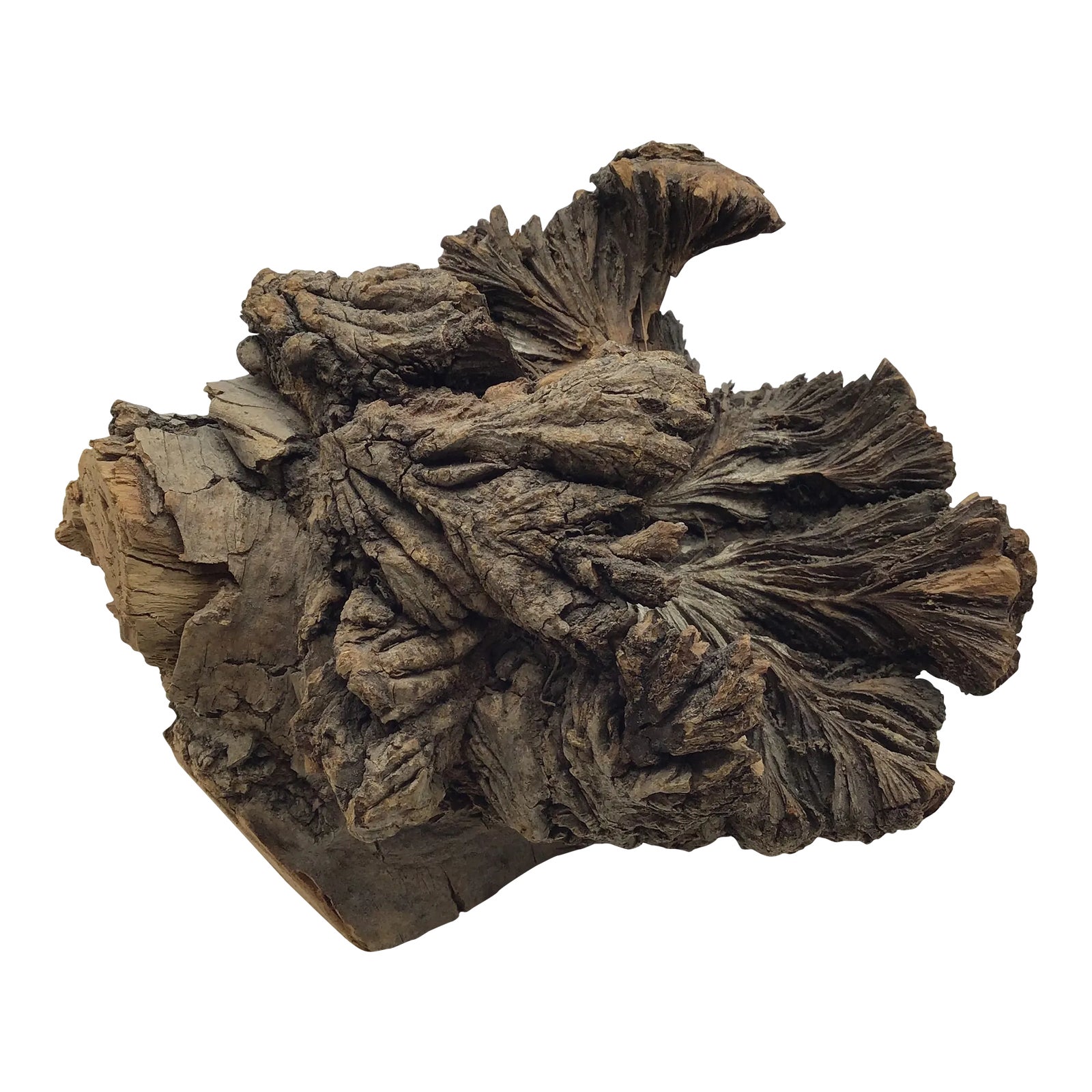 Burl Wood Sculpture Natural Wood Tree Burl Sculpture Decorative Art ...