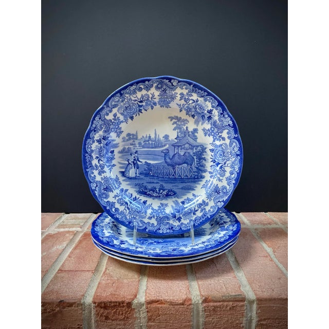 Spode England Blue Room Collection Zoological Society Blue & White ...