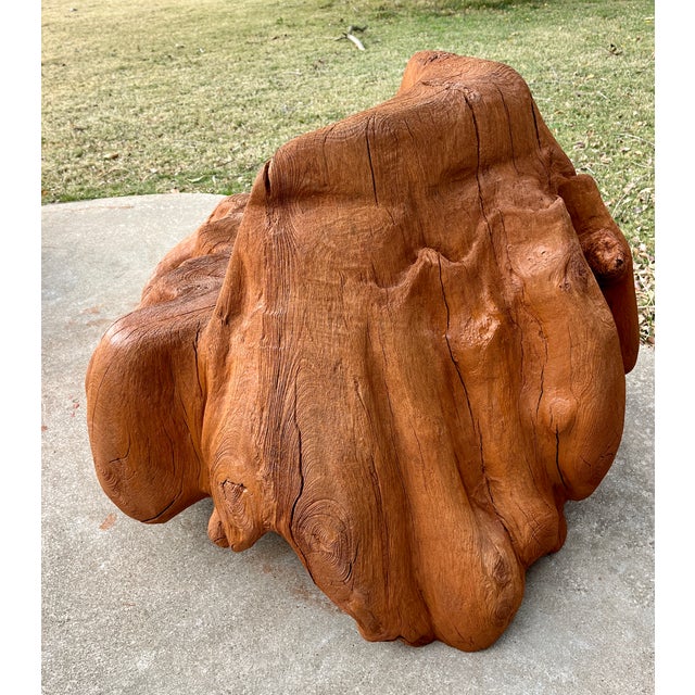 Rustic Teak Root Chair | Chairish