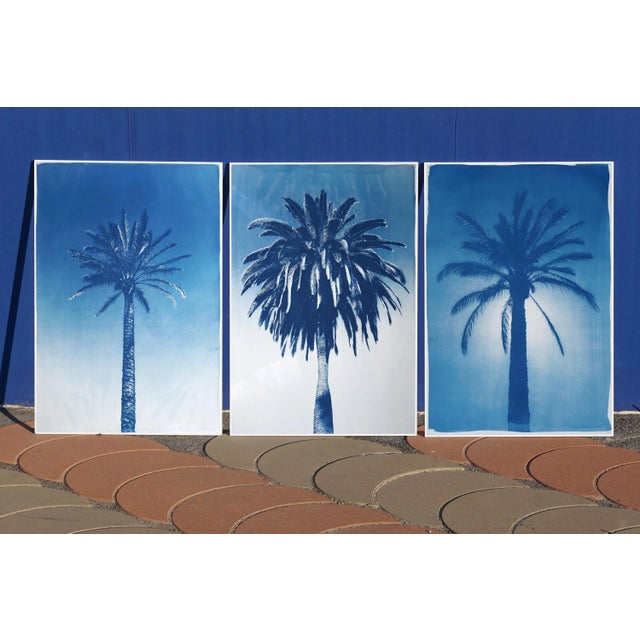 "Desert Palm Trio" Hand Painted Cyanotype Triptych on Watercolor Paper ...