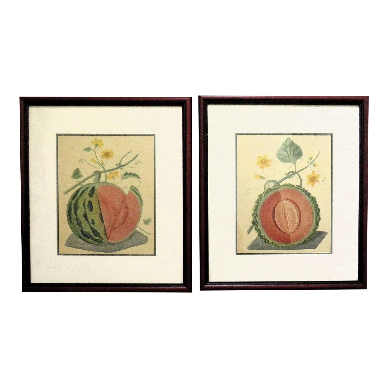 Rare Pair of George Brookshaw (1751-1823) Melon Engravings Botanical ...