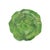 Vietri Foglia Stoneware Salad Plate from Kenneth Ludwig Home | Chairish